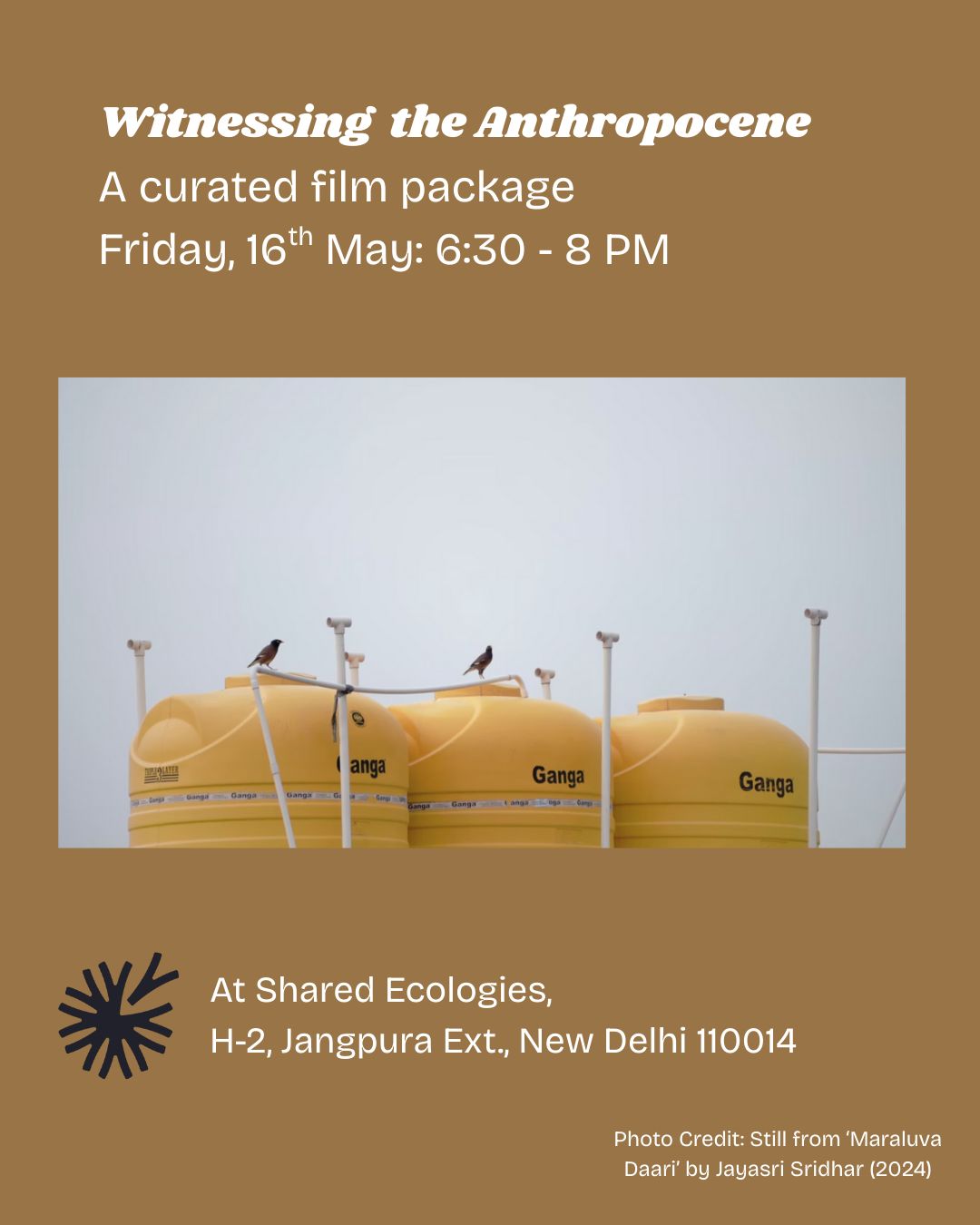 Witnessing the Anthropocene: Curated Film Package